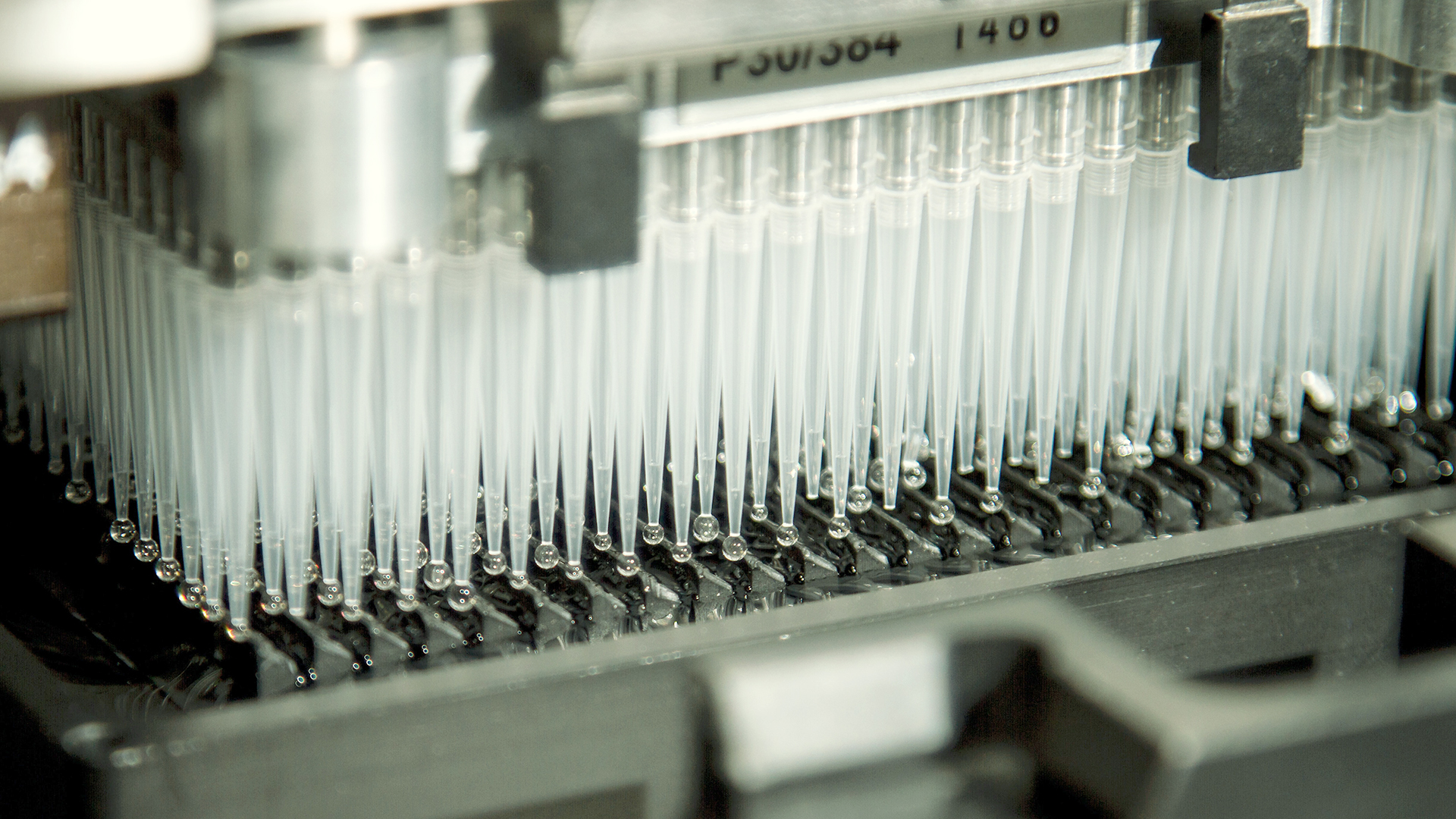 Chosa - Edison Group