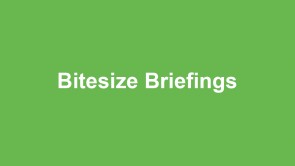 Bitesize Briefings - SinnerSchrader - Edison Group