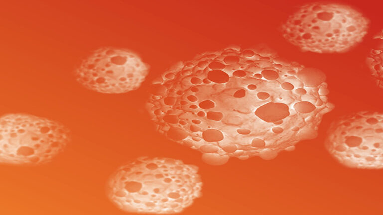 BerGenBio - Edison Group