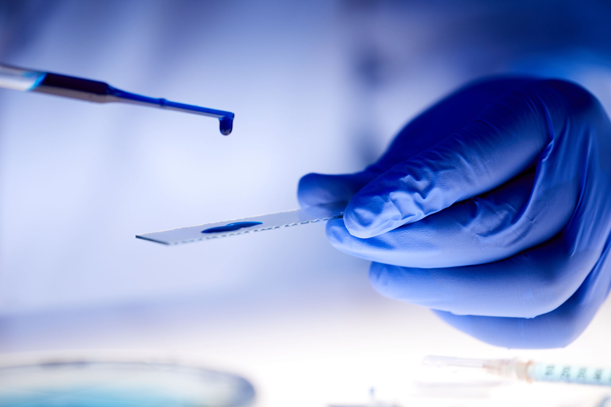 Basilea Pharmaceutica — Innovation meets execution in anti-infectives ...