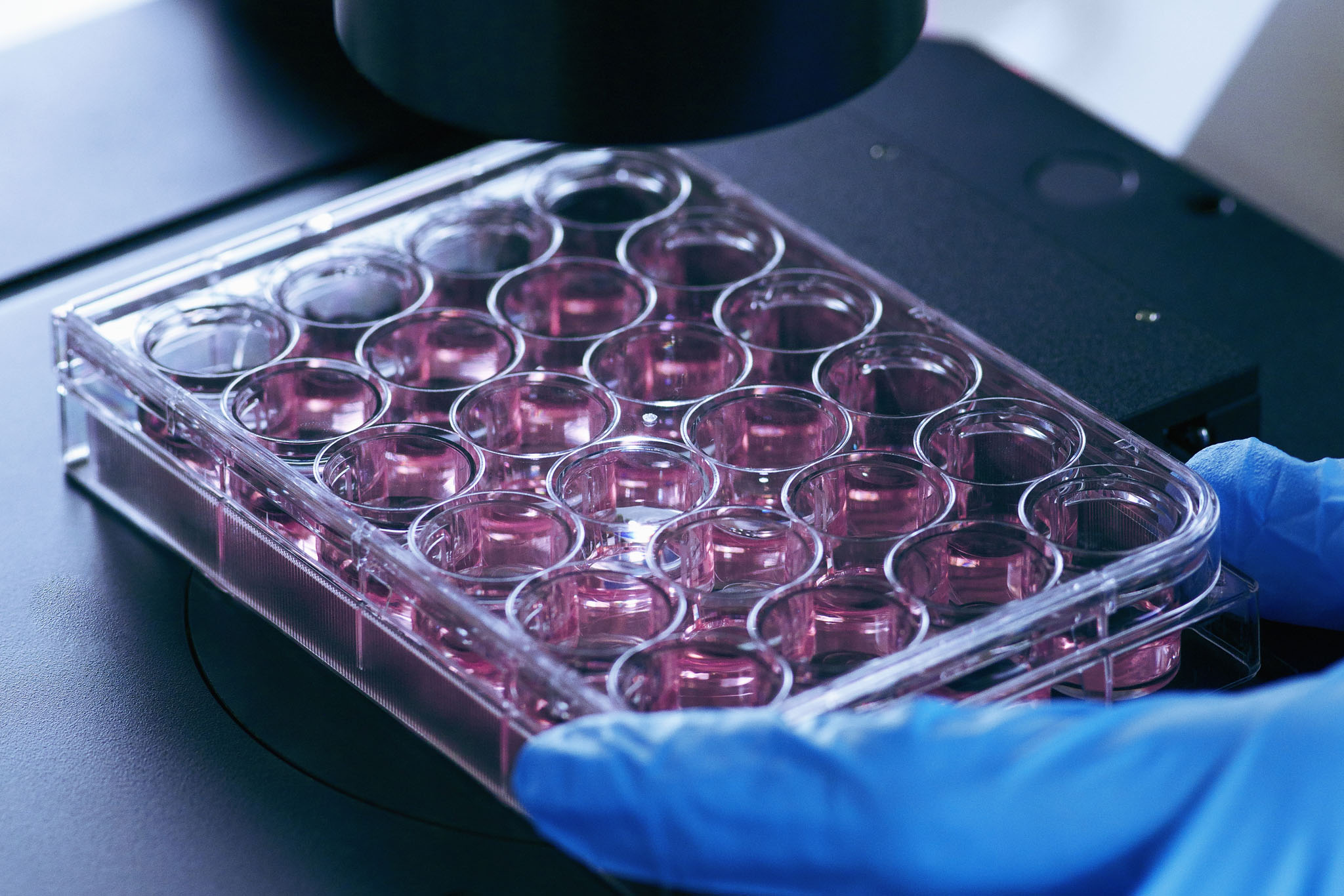 Edison Group - Edison is an investment research, investor relations and ...