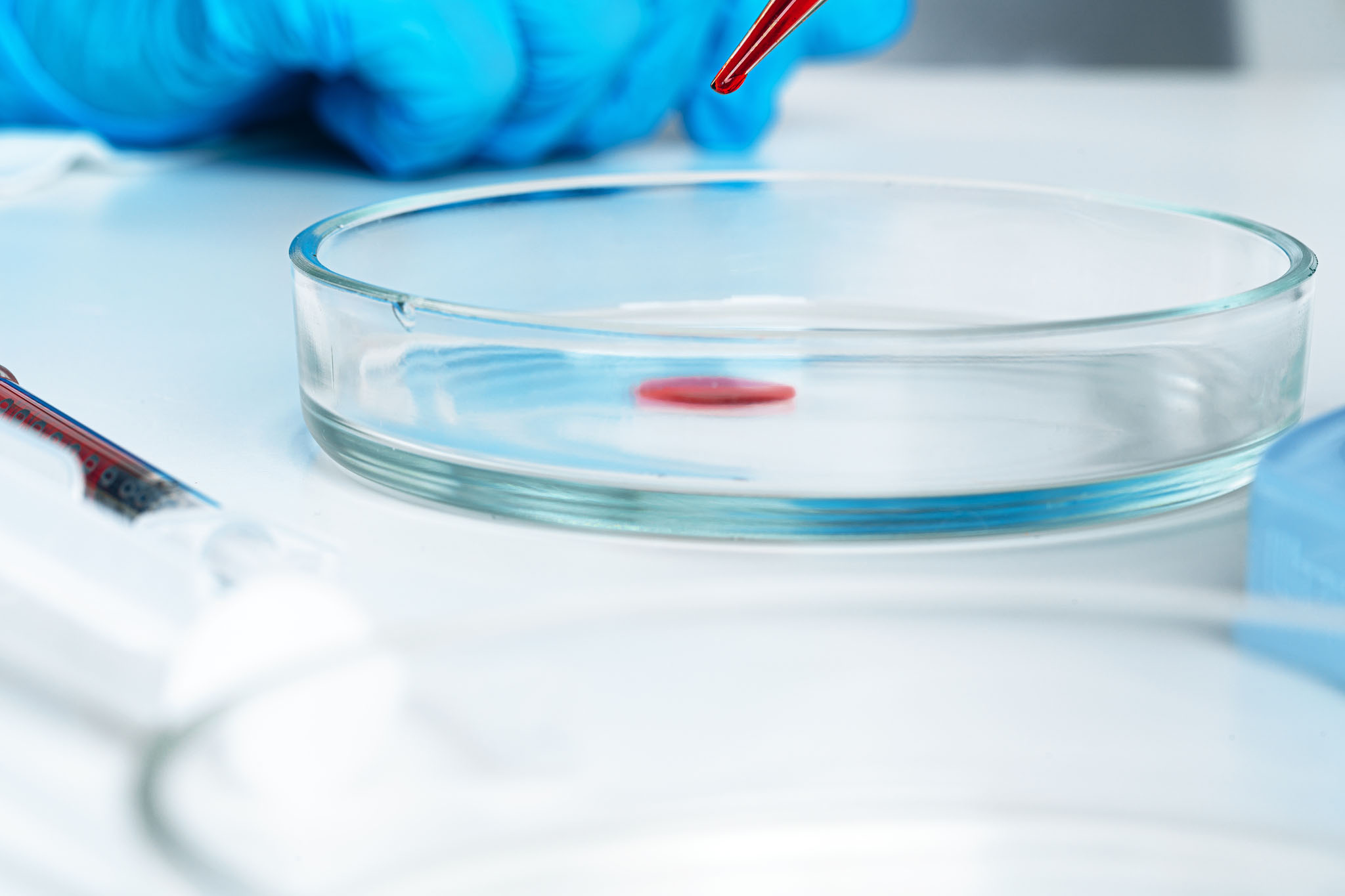 SIGA Technologies — Solid results marked by revenue diversification ...