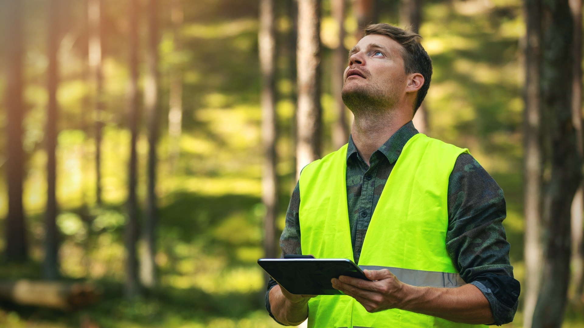 ArborGen Holdings — Seedling supplier’s long-term future looks green ...