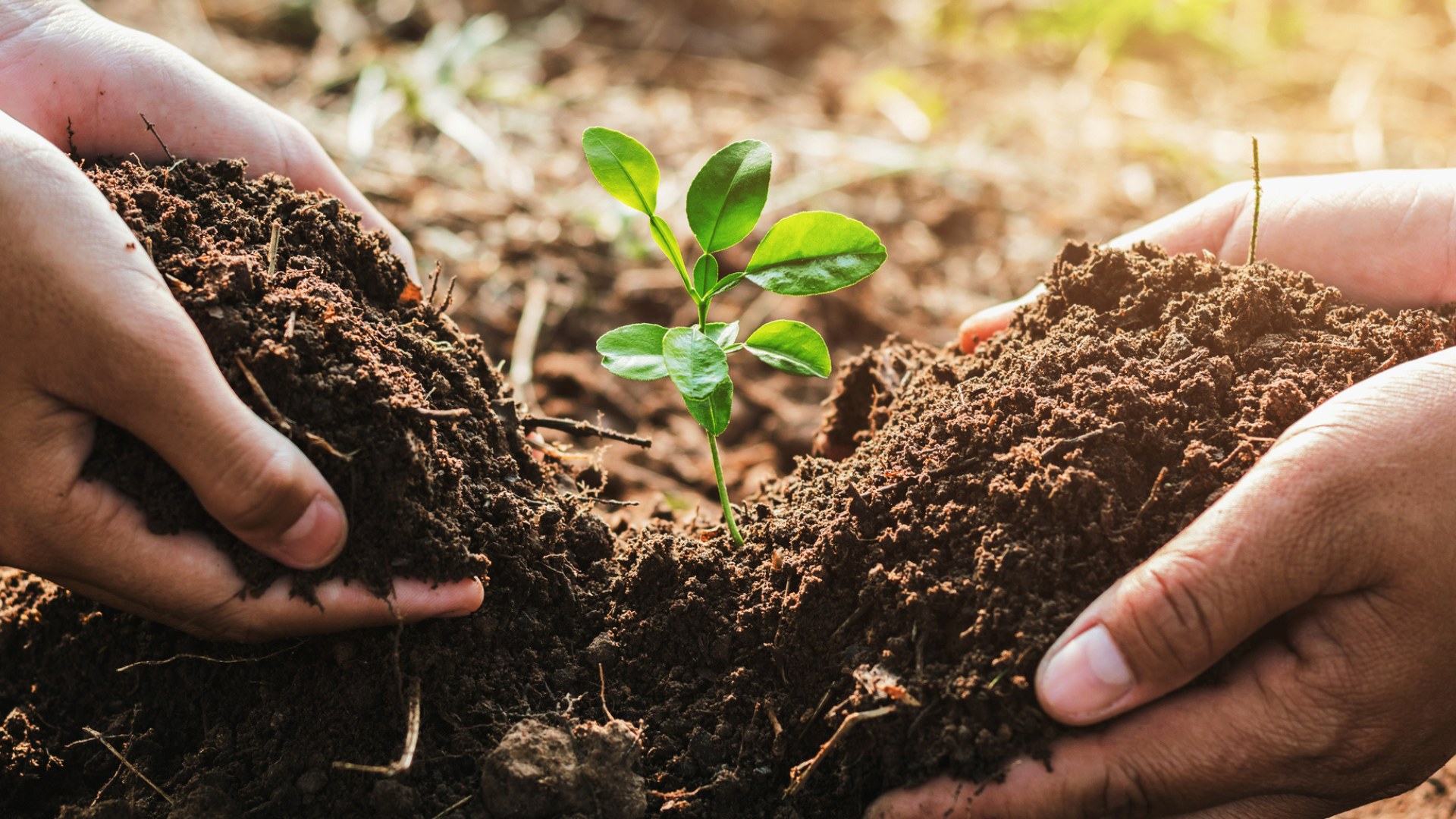 Expert Ground Improvement Solutions | Wide Horizon