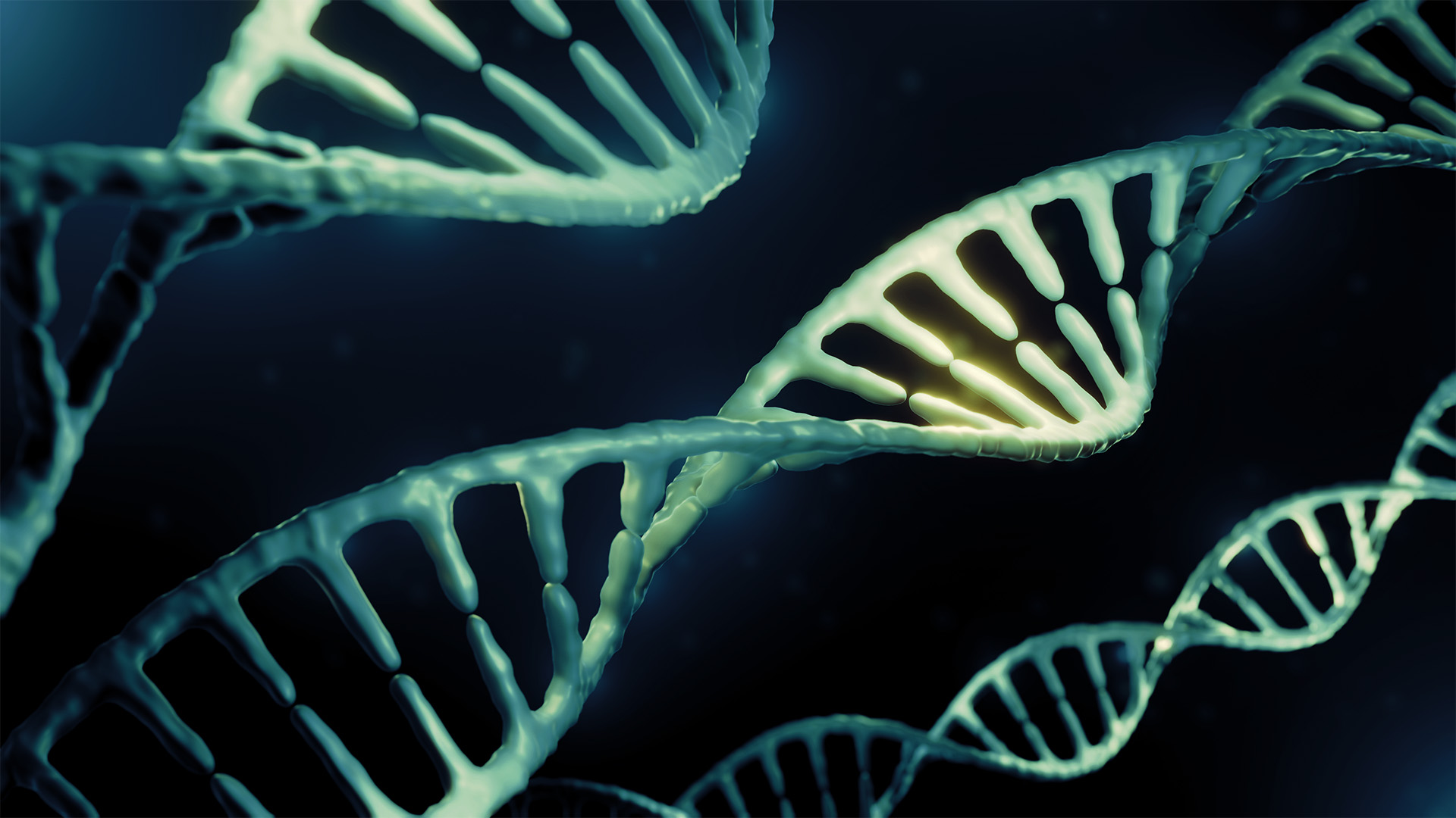 Immix Biopharma — A quarter of progress for both lead assets - Edison Group