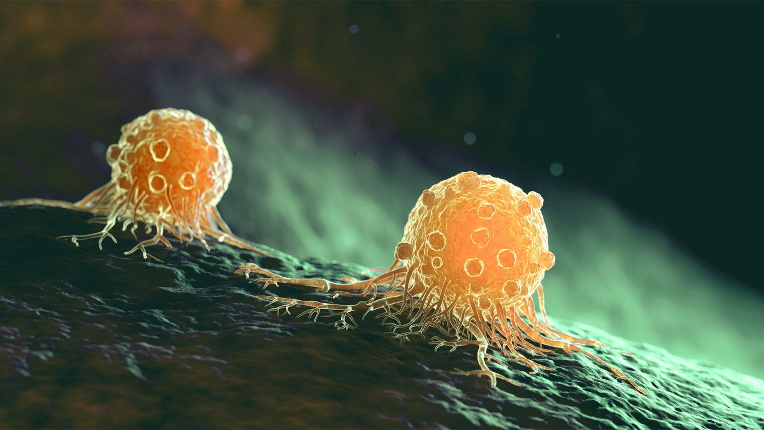 Immix Biopharma — Fresh faces with a unique tissue-targeting therapy ...