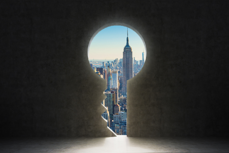 Unlocking US capital: Strategies for non US-listed businesses - Edison ...