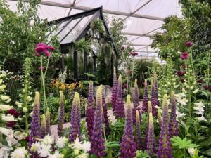 Blue Diamond - Edison Group